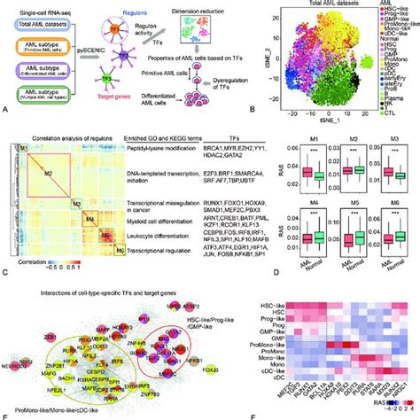 Differences Of Transcriptional Regulatory Networks Between Normal And
