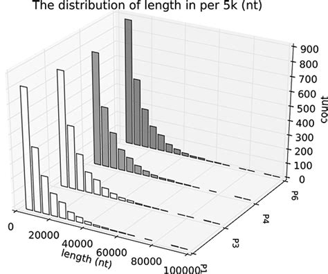 Circular RNA Sequencing CircRNA Seq Novogene
