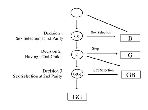decision tree of model of sex selection download scientific diagram