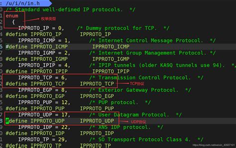 linux：udp socket编程 代码实战 udp socket h csdn博客