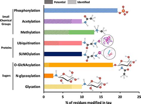 Frontiers Tau Post Translational Modifications Dynamic Transformers