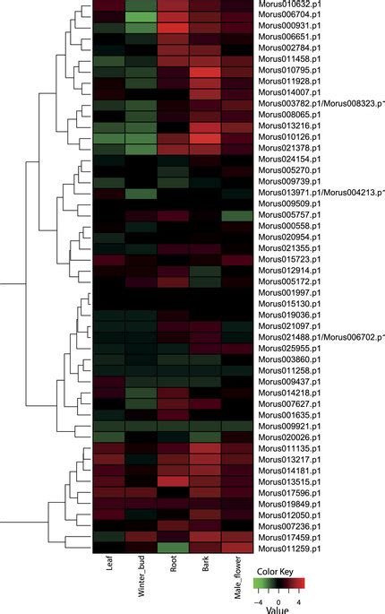 Heat Map Showing The Expression Pattern Of WRKY Genes Across Five