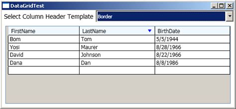 Wpf Datagrid Column Header Style