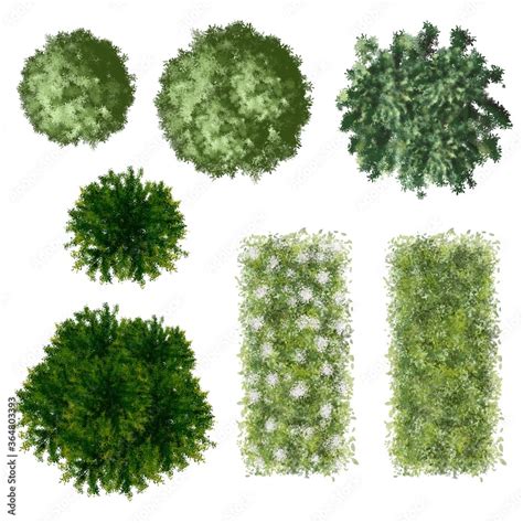 Green Grass Isolated On White Background Set Of Watercolor Tree Top