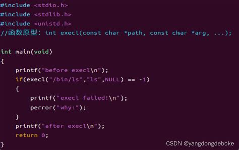 linux下使用部分exec族函数，system函数，popen函数 linux execl csdn博客