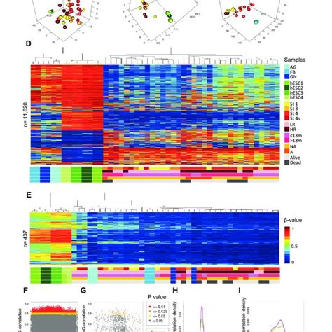 CCND1 Gene Methylation And Expression Analysis A DNA Methylation