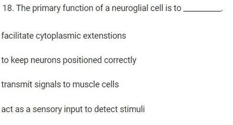 Solved 18 The Primary Function Of A Neuroglial Cell Is To Chegg