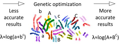 picturesquely shown optimization using genetic algorithms download scientific diagram