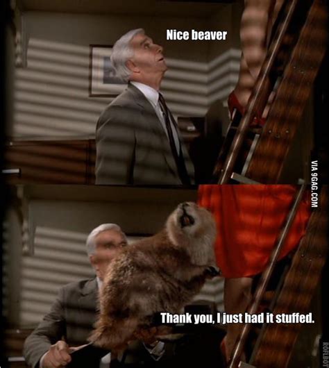 Nice Beaver 9GAG