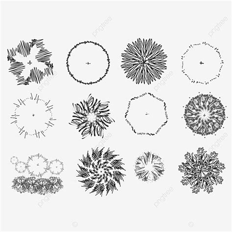Tree Plan White Transparent Plan Big Tree Sketchtree Topview 14400