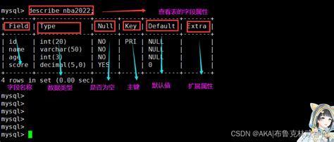 mysql数据库基础语句 mysql数据库语句 csdn博客