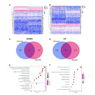 Differential Gene Expression Analysis And Enrichment Analysis A