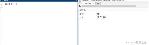 【matlab入门】保存和加载变量 输入必须为 mat 文件或包含每行列数相同的数值数据的 ascii 文件。 csdn博客