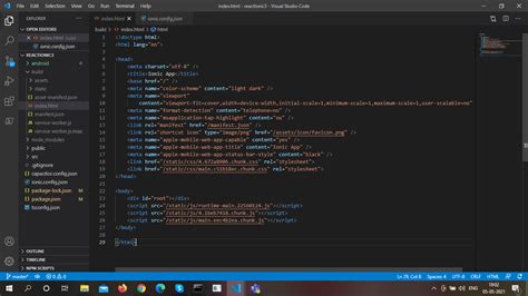 javascript getting error when i tap my index file of ionic react project after the