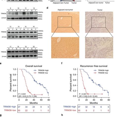Bioinformation Analysis Of RNA Seq Assays A Heat Map Showing
