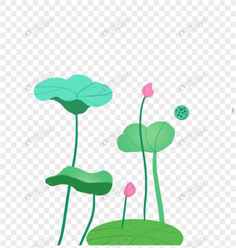 创意荷花莲蓬插图元素素材下载 正版素材401306333 摄图网