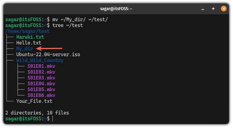 Mv Command Examples In Linux