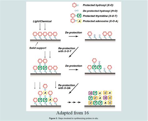 avens publishing group microarray based genotyping a review