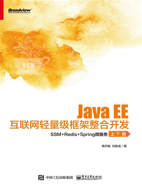 《java ee互联网轻量级框架整合开发：ssm redis spring微服务（上下册）》小说在线阅读 起点中文网