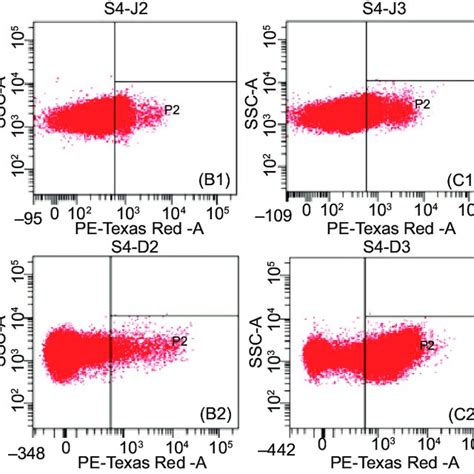 Flow Cytometry Dot Plots Of E Coli CICC 10664 Cells A1 D1 And S