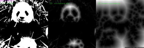python watershed transform of distance image with opencv stack overflow images