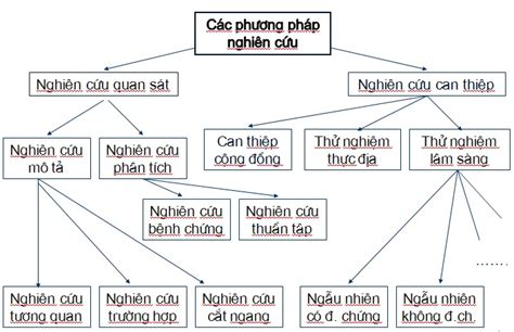 Thiết kế nghiên cứu khoa học là gì Khám phá Bí mật Đằng sau Các Phát