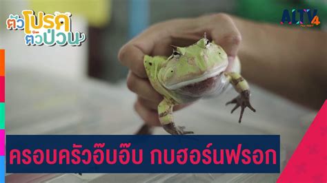 ALTV ชอง 4 ครอบครวอบอบ กบฮอรนฟรอก