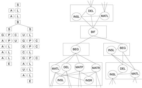 covariance model covariance model ordered binary tree right and the download scientific