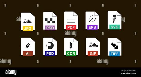File Type Icon Set Popular Files Format And Document In Flat Style