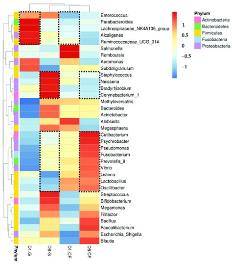 Heat Map And Hierarchical Clustering Of Genera Of Bacterial
