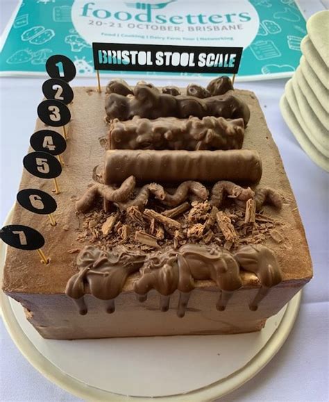 Bristol Stool Chart Cake Minga