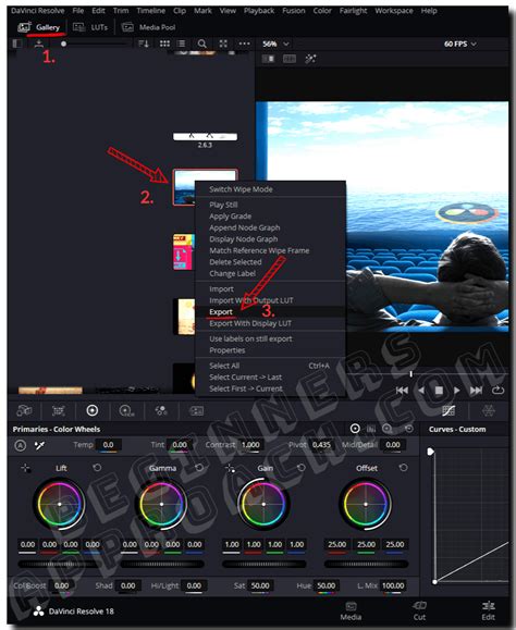 How To Export Frame In DaVinci Resolve Still Image 2024