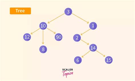 Binary Search Tree Bst Scaler Topics