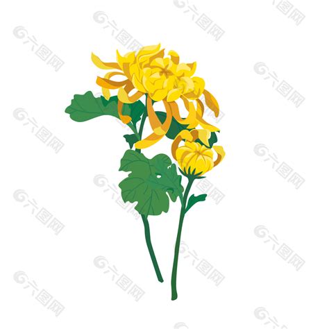 文艺简约手绘菊花设计素材设计元素素材免费下载 图片编号 9439326 六图网