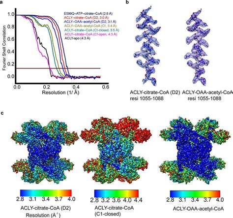 Analysis Of Single Particle Cryo EM Reconstructions A Fourier Shell