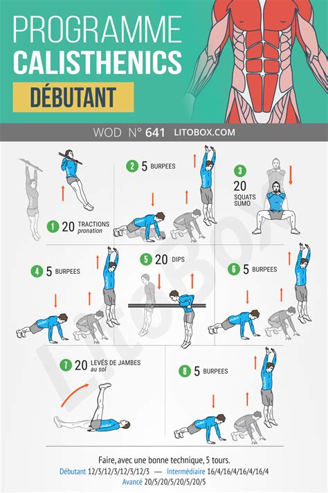Programme calisthenics débutant efficace Litobox 641