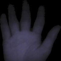 GitHub Arijitx HandGesturePy Static Hand Gesture Detection Using