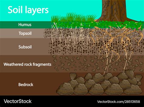 Layers Of Soil Printable