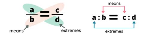 Proportions What How To Use Types Examples Importance