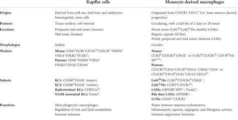 Table 1 From The Versatility Of Macrophage Heterogeneity In Liver