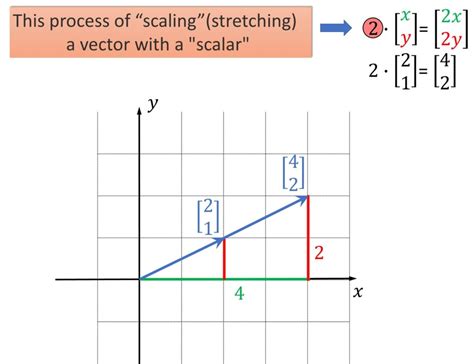 linear algebra vector addition and scalar vector multiplication