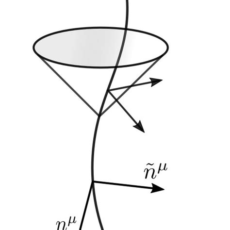 the topological chern simons term in the tmg action introduces a normal download scientific