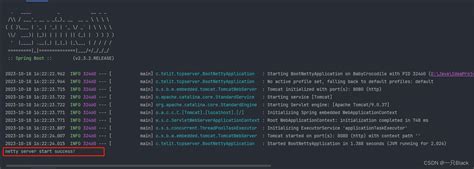 springboot netty搭建基于tcp协议的服务端 springboot2 netty搭建tcp服务端 csdn博客