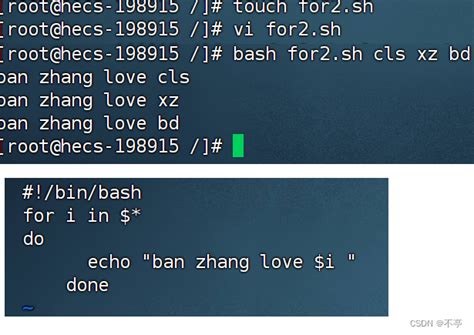 一篇文章入门shell编程 csdn博客