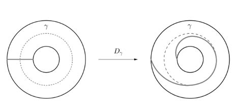 positive dehn twist about the core circle download scientific diagram