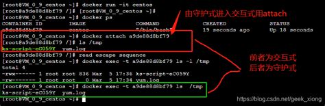docker 容器container 常用的基本命令（重要）及实例（下） docker运行container的命令 csdn博客