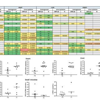 A Heat Map Representing The SARS CoV 2 Viral Load Recorded For Each