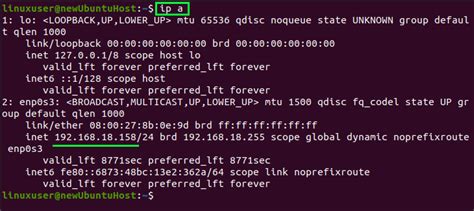 Linux에서 bash usr sbin ifconfig No such file or directory 수정 방법