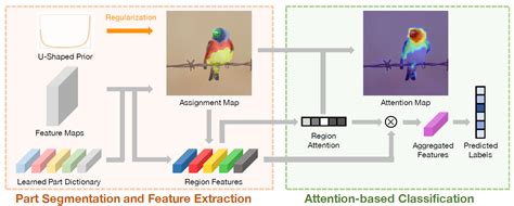 interpretable and accurate fine grained recognition via region grouping