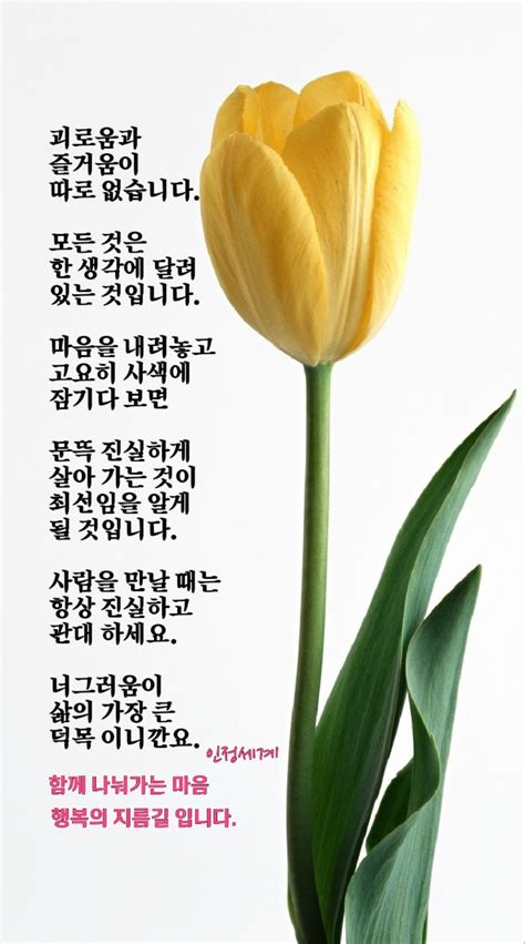 Daum